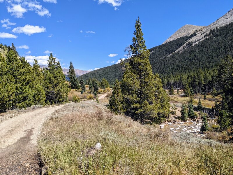 Open valley with creek