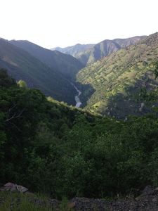 Mountain Bike Trails near Buck Meadows