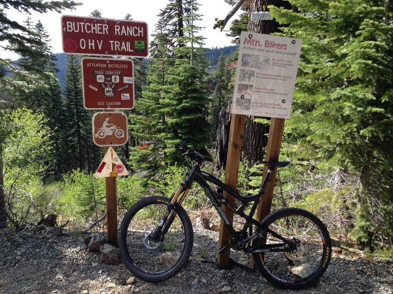 Upper Butcher Ranch Trail Mountain Bike Trail, Downieville, California